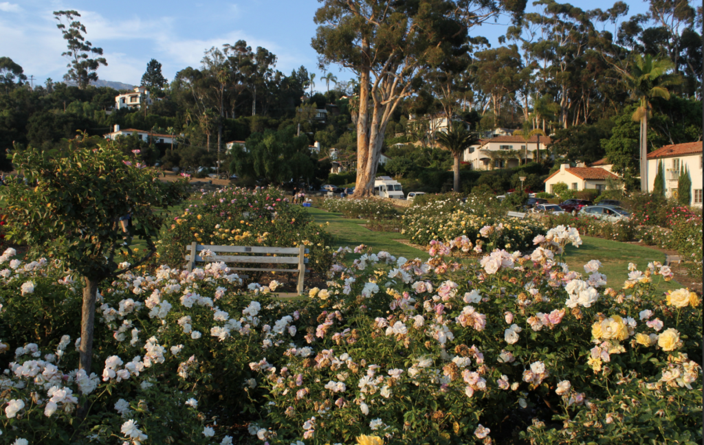 See Santa Barbara | Santa Barbara Books